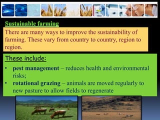 Sustainable Food Production System | PPTX