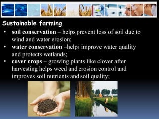 Sustainable Food Production System | PPTX