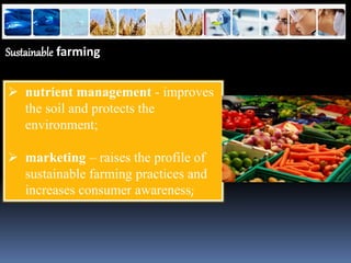Sustainable Food Production System | PPTX