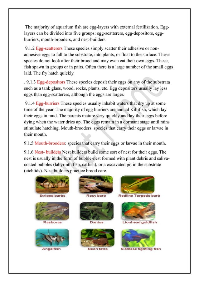 Ornamental_fish_culture karan aryajii.pdf