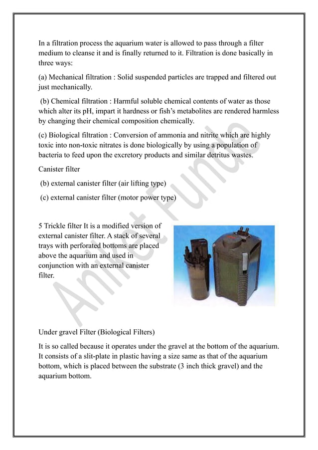 Ornamental_fish_culture karan aryajii.pdf