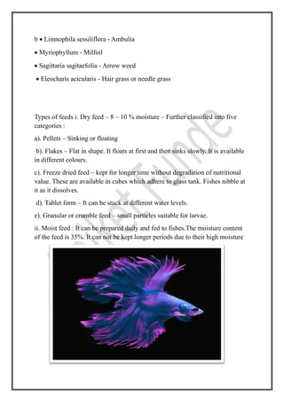 Ornamental_fish_culture karan aryajii.pdf