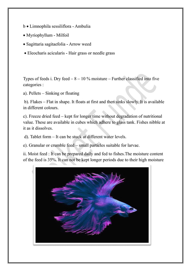 Ornamental_fish_culture karan aryajii.pdf