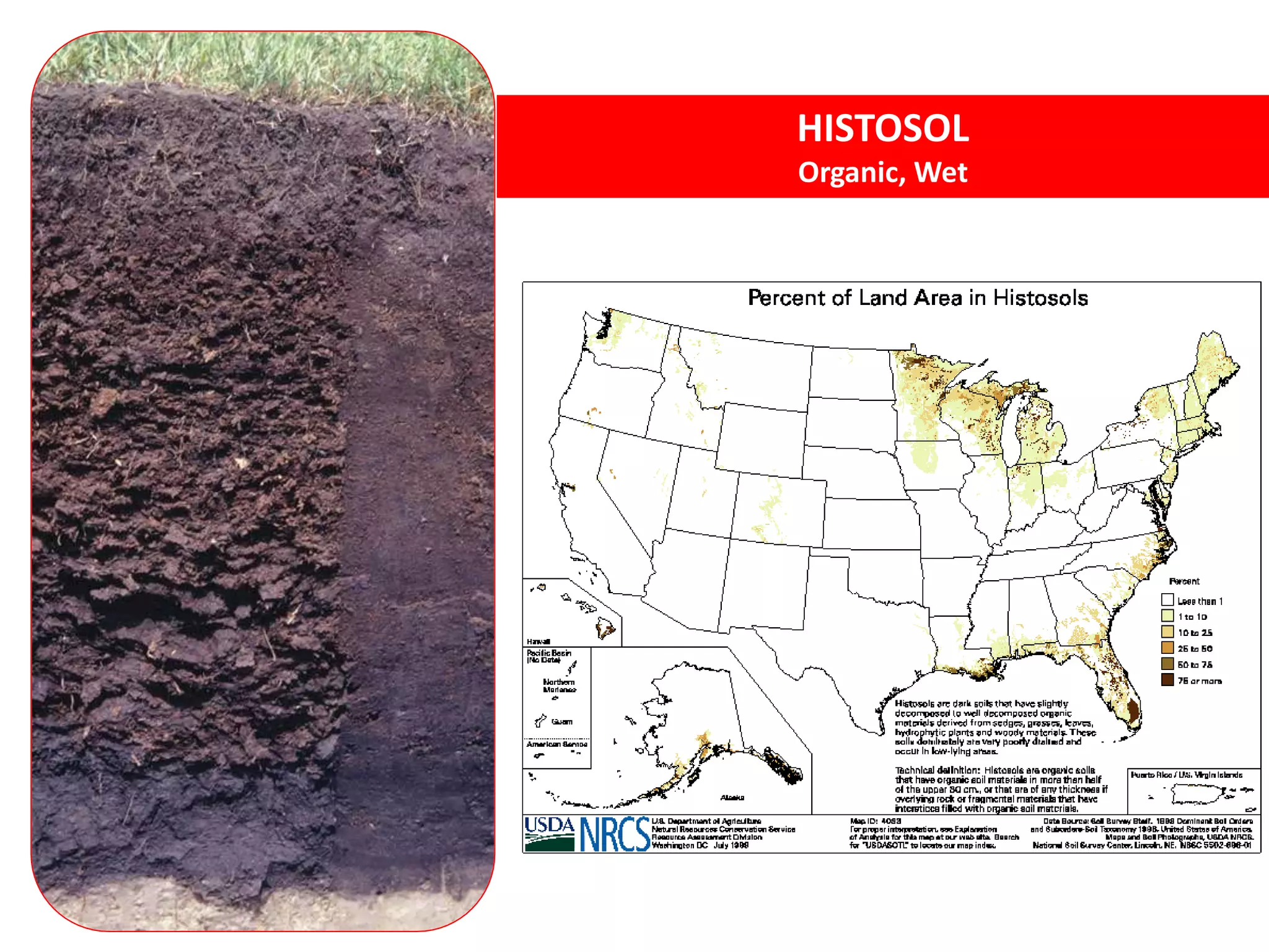 around-the-world (1).pptx