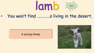 Around One Cactus - Spelling Words.pptx