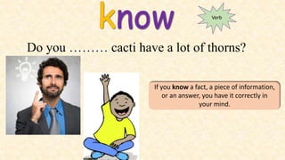 Around One Cactus - Spelling Words.pptx