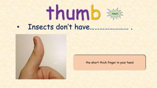 Around One Cactus - Spelling Words.pptx