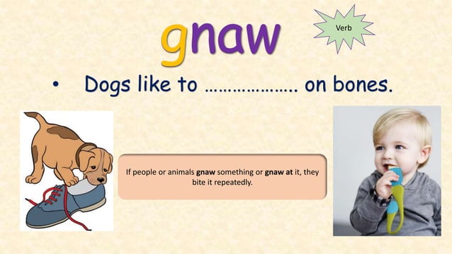 Around One Cactus - Spelling Words.pptx