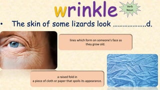 Around One Cactus - Spelling Words.pptx