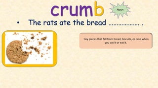 Around One Cactus - Spelling Words.pptx