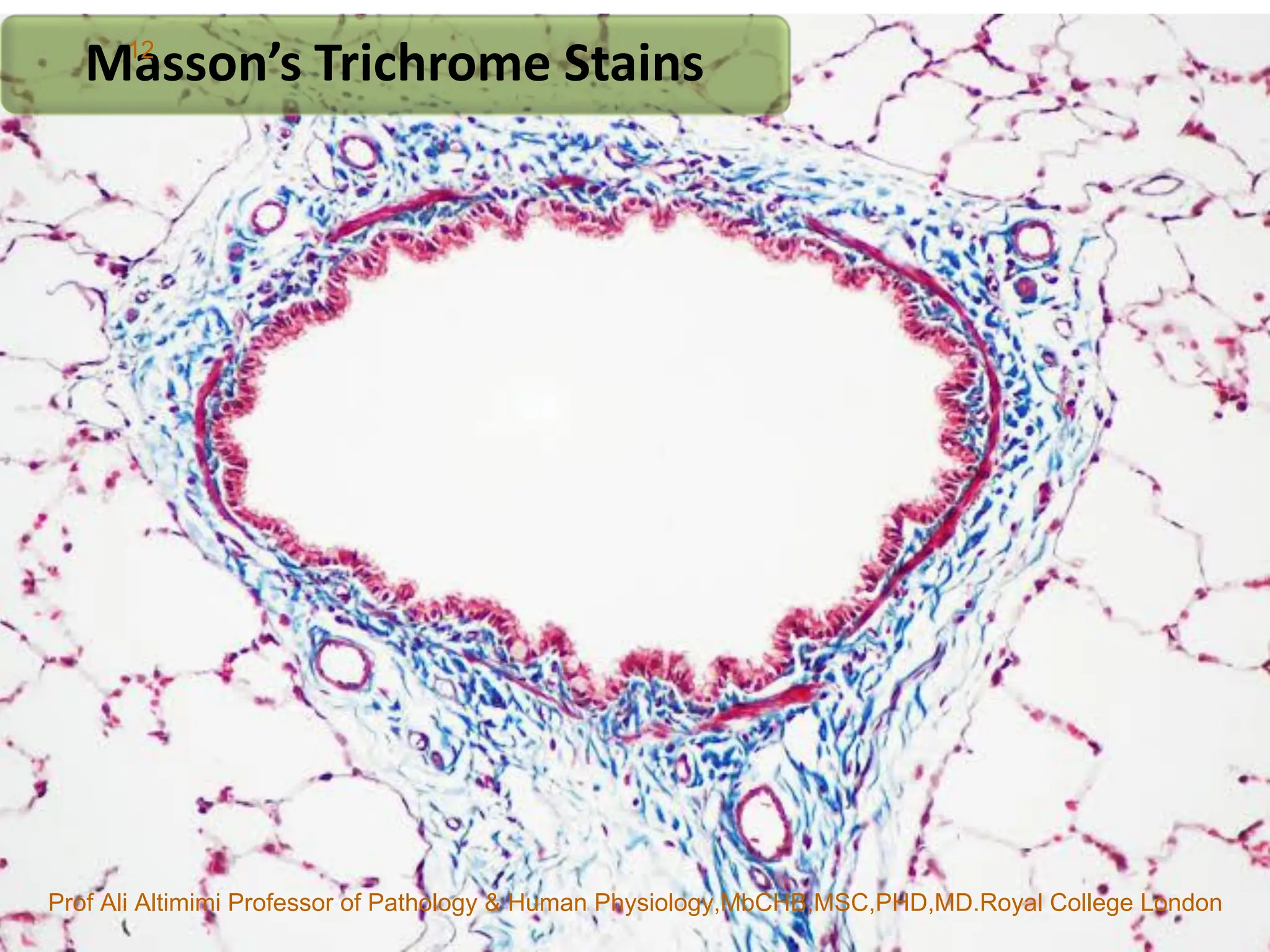 A Routine and Special Staining in Histopathology LAB practice lec ...