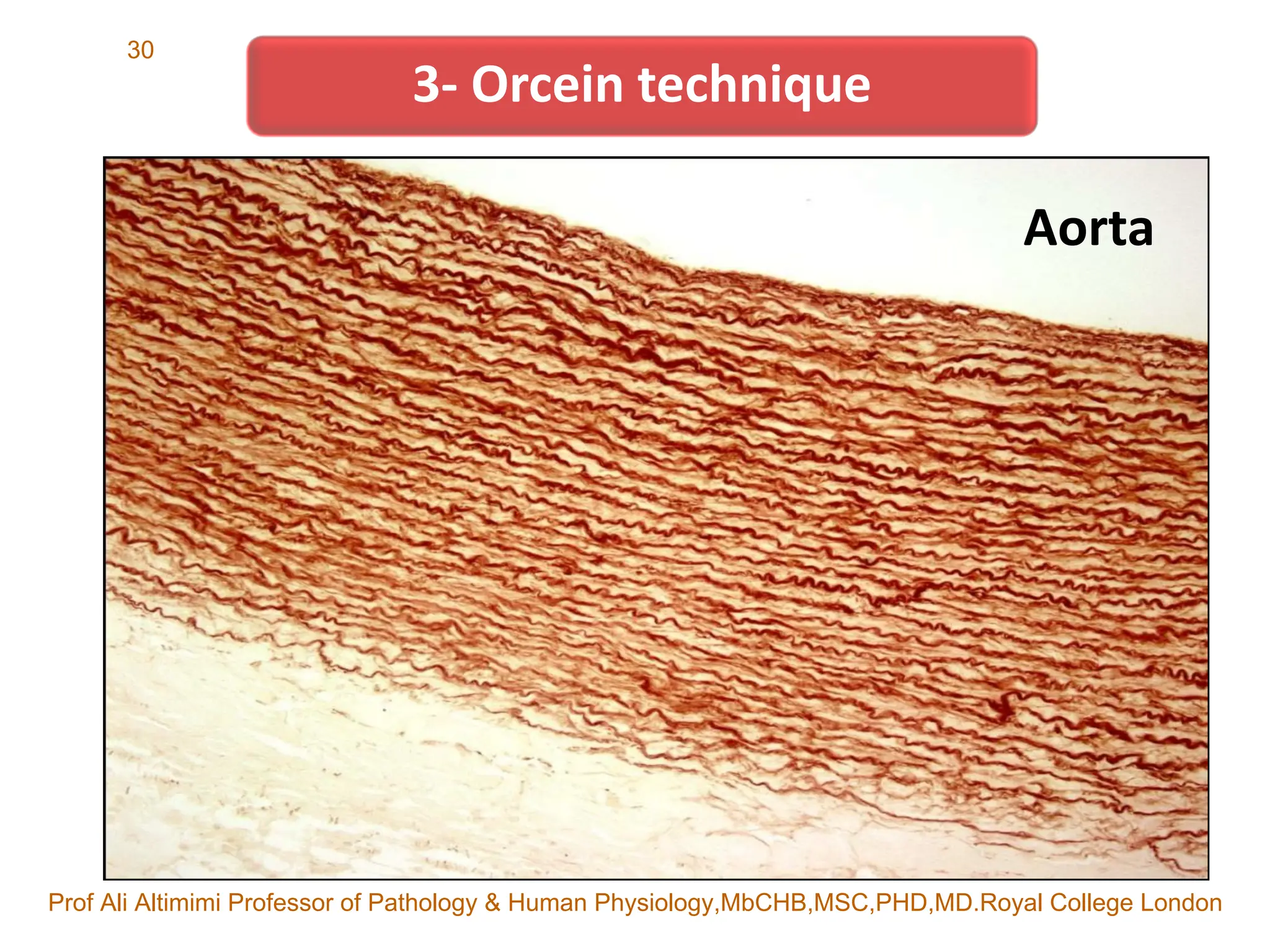 A Routine and Special Staining in Histopathology LAB practice lec ...