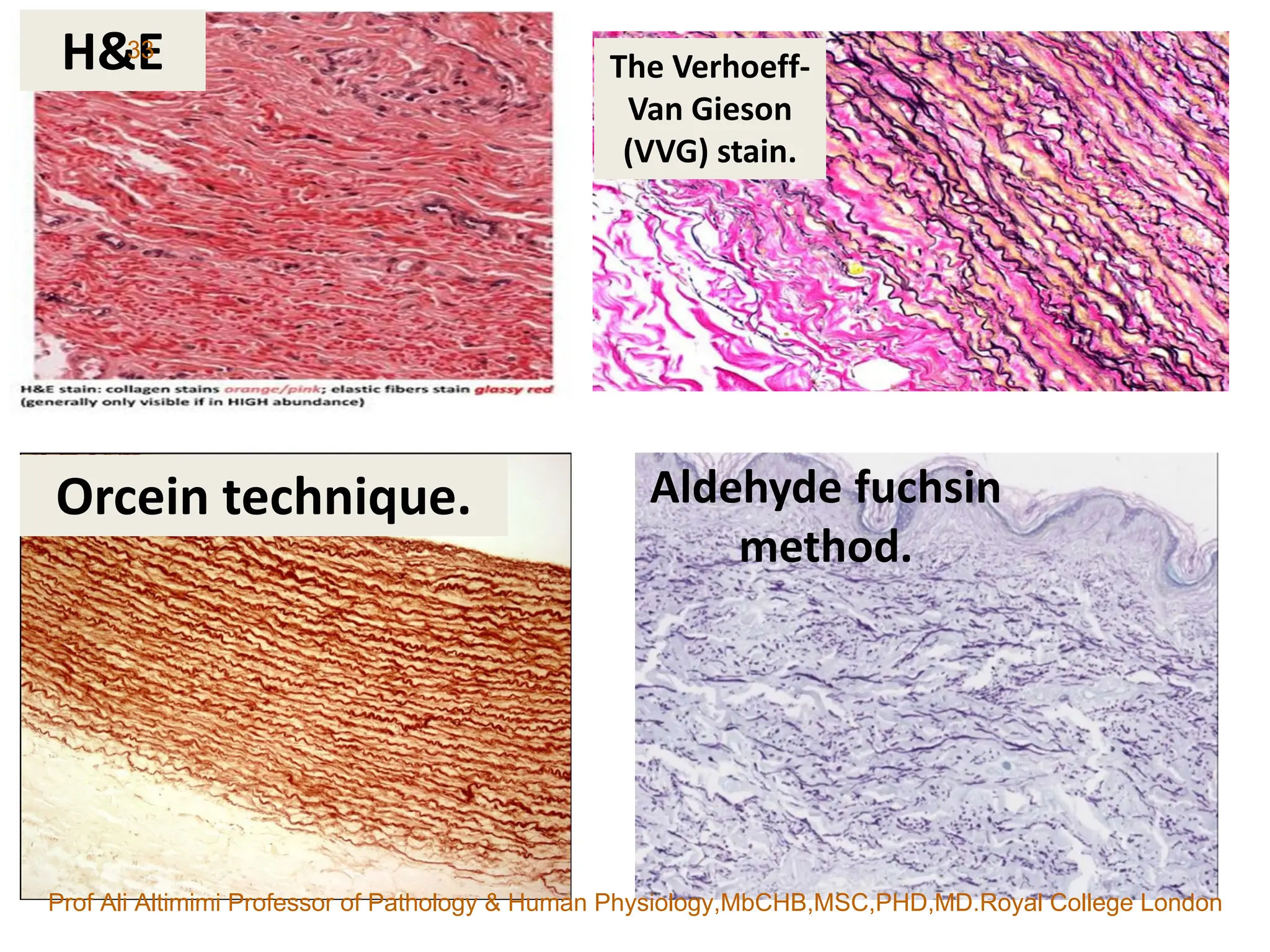 A Routine and Special Staining in Histopathology LAB practice lec ...