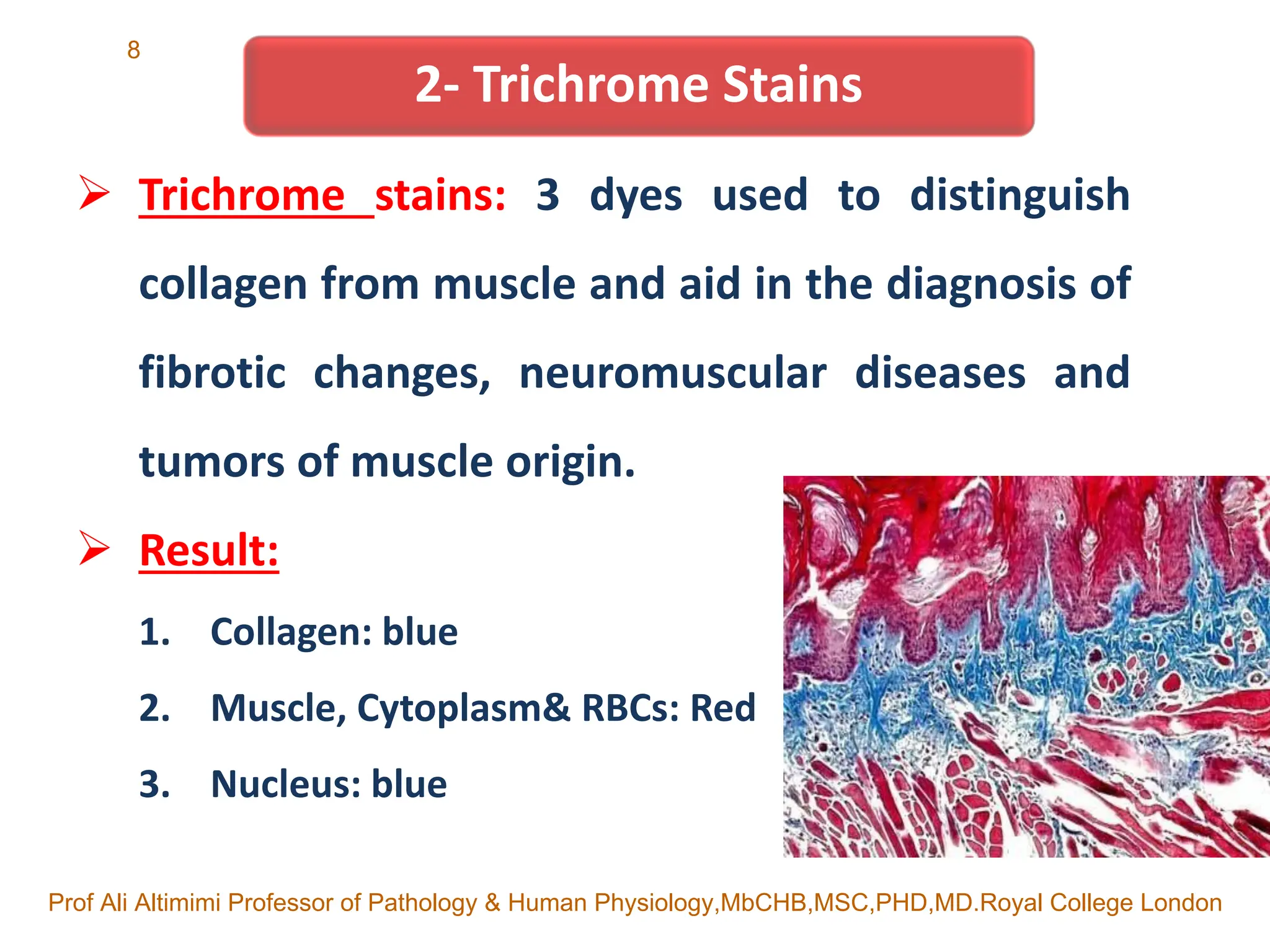 A Routine and Special Staining in Histopathology LAB practice lec ...