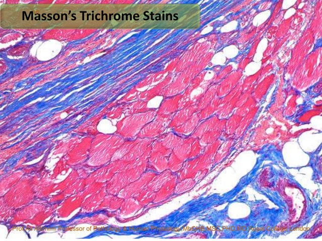 A Routine and Special Staining in Histopathology LAB practice lec ...