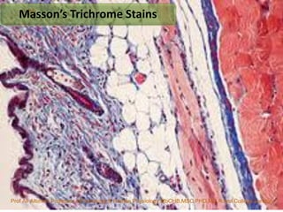 A Routine and Special Staining in Histopathology LAB practice lec ...