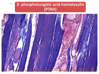 A Routine and Special Staining in Histopathology LAB practice lec ...