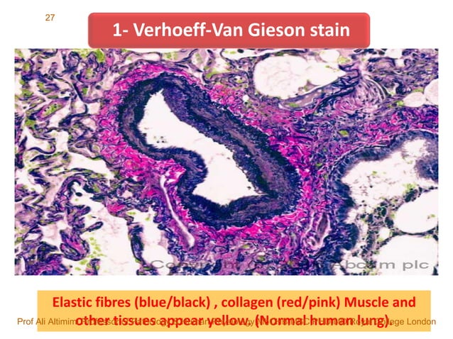 A Routine and Special Staining in Histopathology LAB practice lec ...