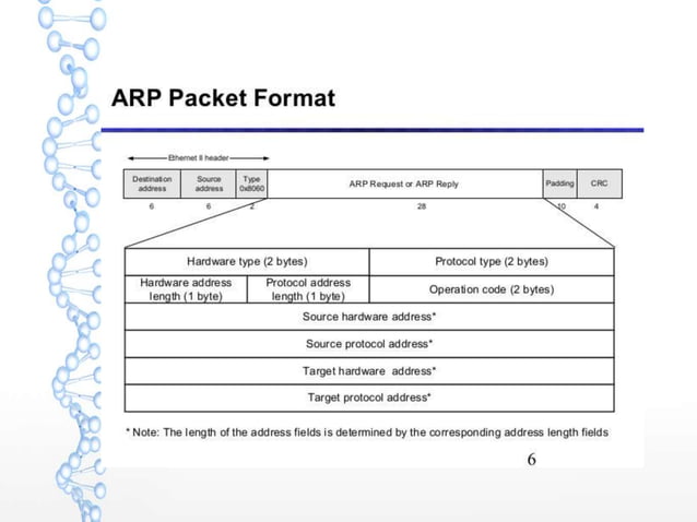 Arp and rarp | PPTX