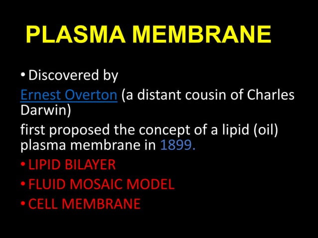 PLASMA MEMBRANE | PPT