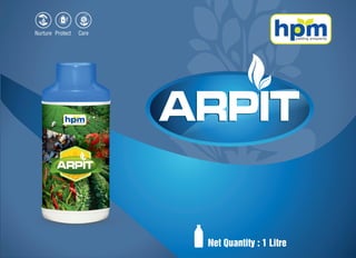 Arpit | PDF