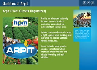 Arpit | PDF