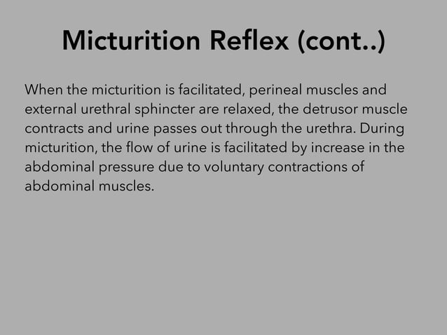 Micturition and micturition reflex in human | PPT