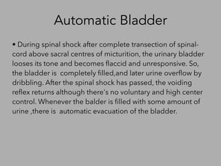 Micturition and micturition reflex in human | PPT