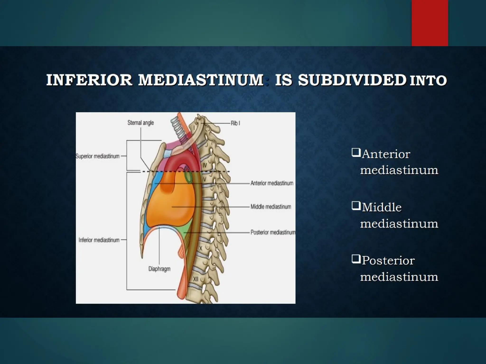 Mediastinal anatomy and staging (Invasive & Non Invasive) | PPTX