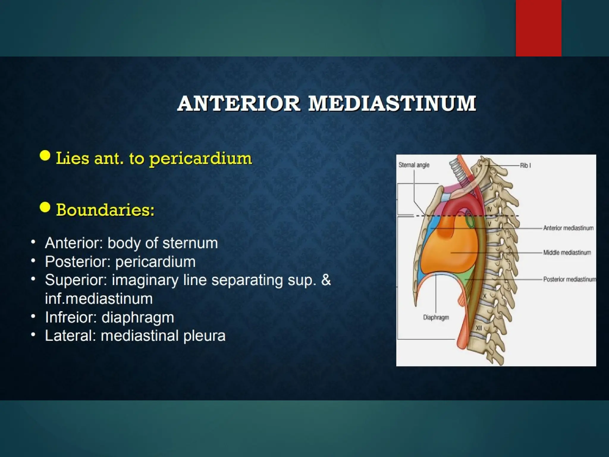 Mediastinal anatomy and staging (Invasive & Non Invasive) | PPTX