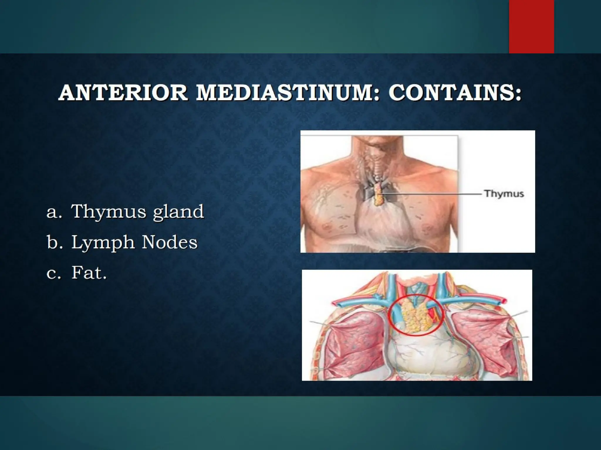 Mediastinal anatomy and staging (Invasive & Non Invasive) | PPTX