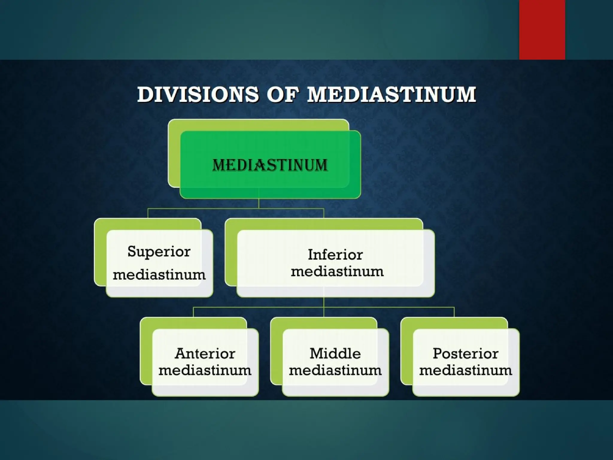 Mediastinal anatomy and staging (Invasive & Non Invasive) | PPTX