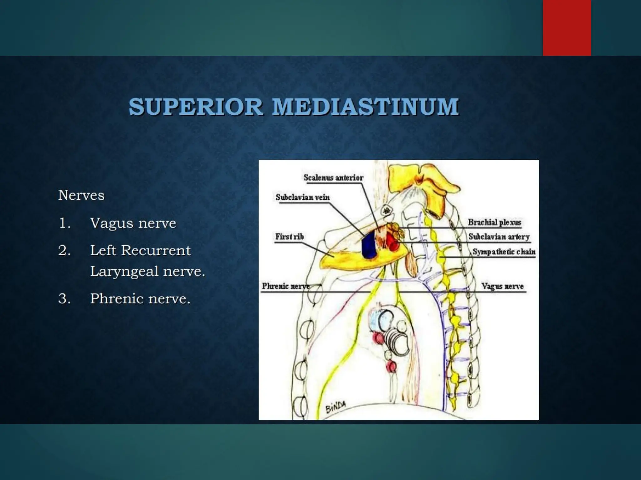 Mediastinal anatomy and staging (Invasive & Non Invasive) | PPTX