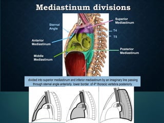 Mediastinal anatomy and staging (Invasive & Non Invasive) | PPTX