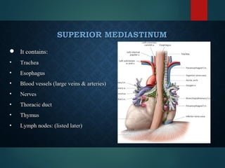 Mediastinal anatomy and staging (Invasive & Non Invasive) | PPTX