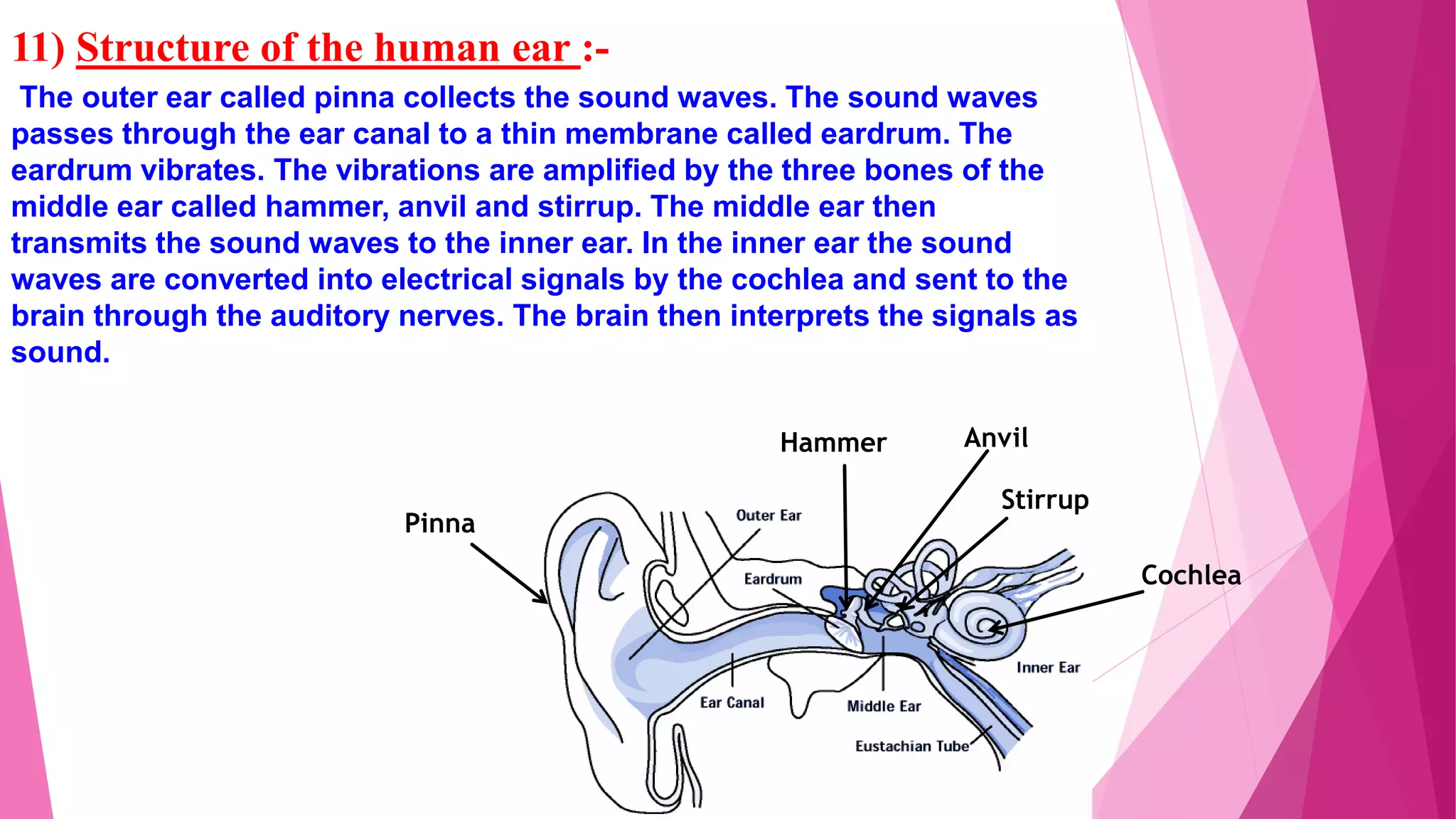 chapter sound for class 9 ppt | PPTX