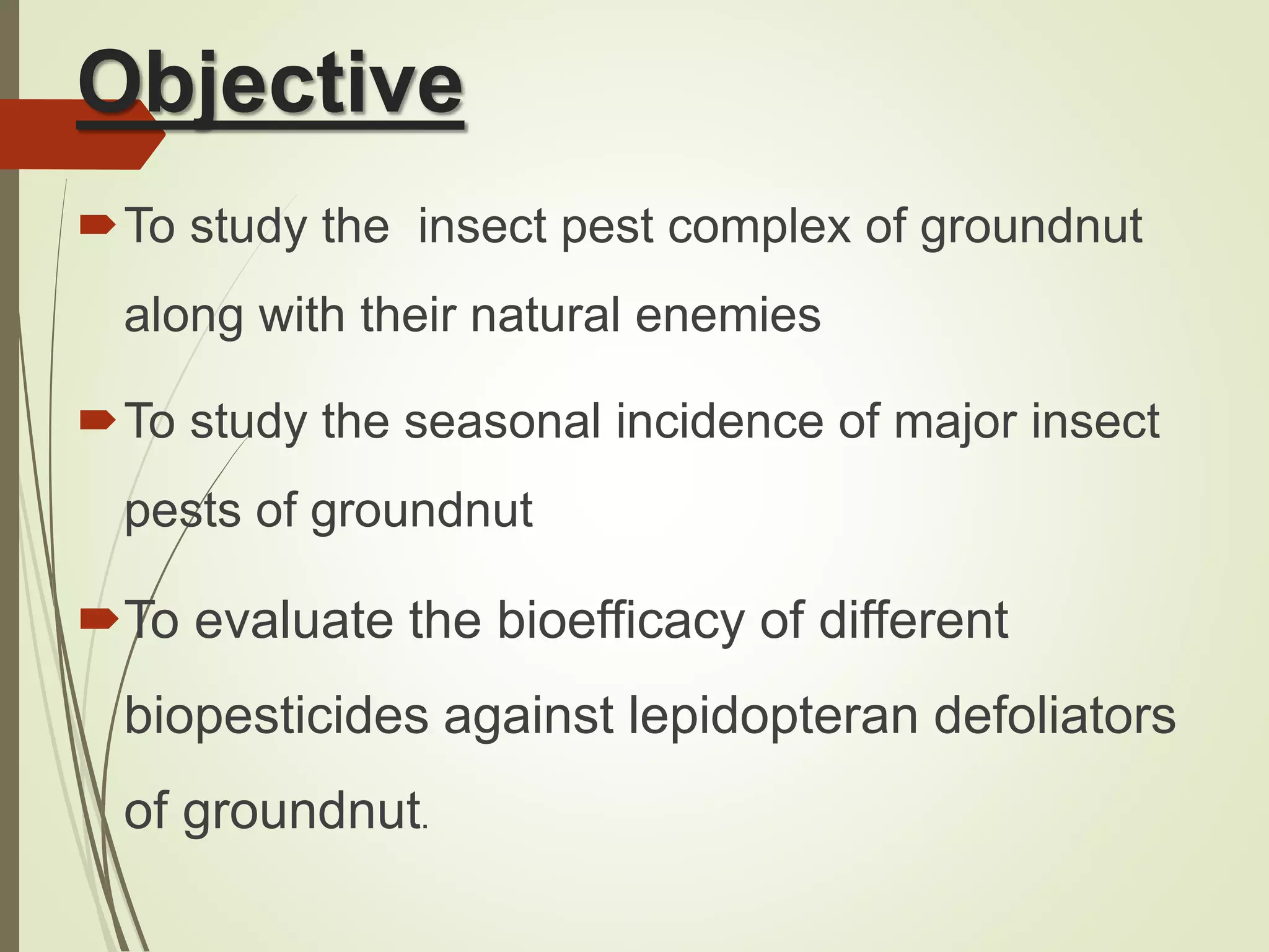 “Studies on major insect-pest of Groundnut | PPTX