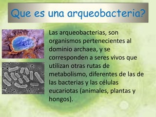 Dibujo De Arqueobacterias
