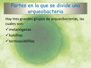 Arqueobacteria | PPTX