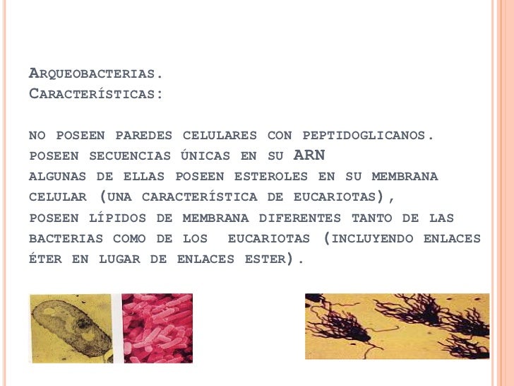 Nombresdelasarqueobacterias