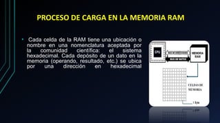 Arquitectura de memorias RAM, ROM Y CACHE | PDF