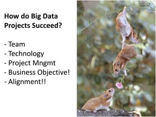 The Big Data Dream Team | PDF