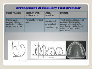 arrangement of teeth Anterior and Posterior | PPTX