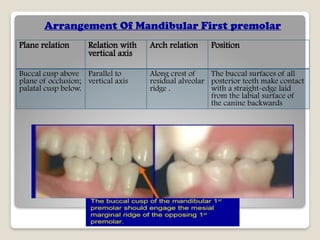 arrangement of teeth Anterior and Posterior | PPTX