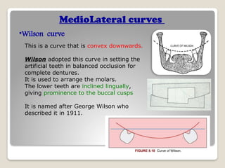 arrangement of teeth Anterior and Posterior | PPTX
