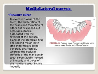 arrangement of teeth Anterior and Posterior | PPTX