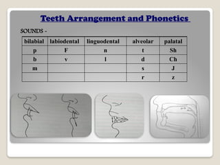arrangement of teeth Anterior and Posterior | PPTX