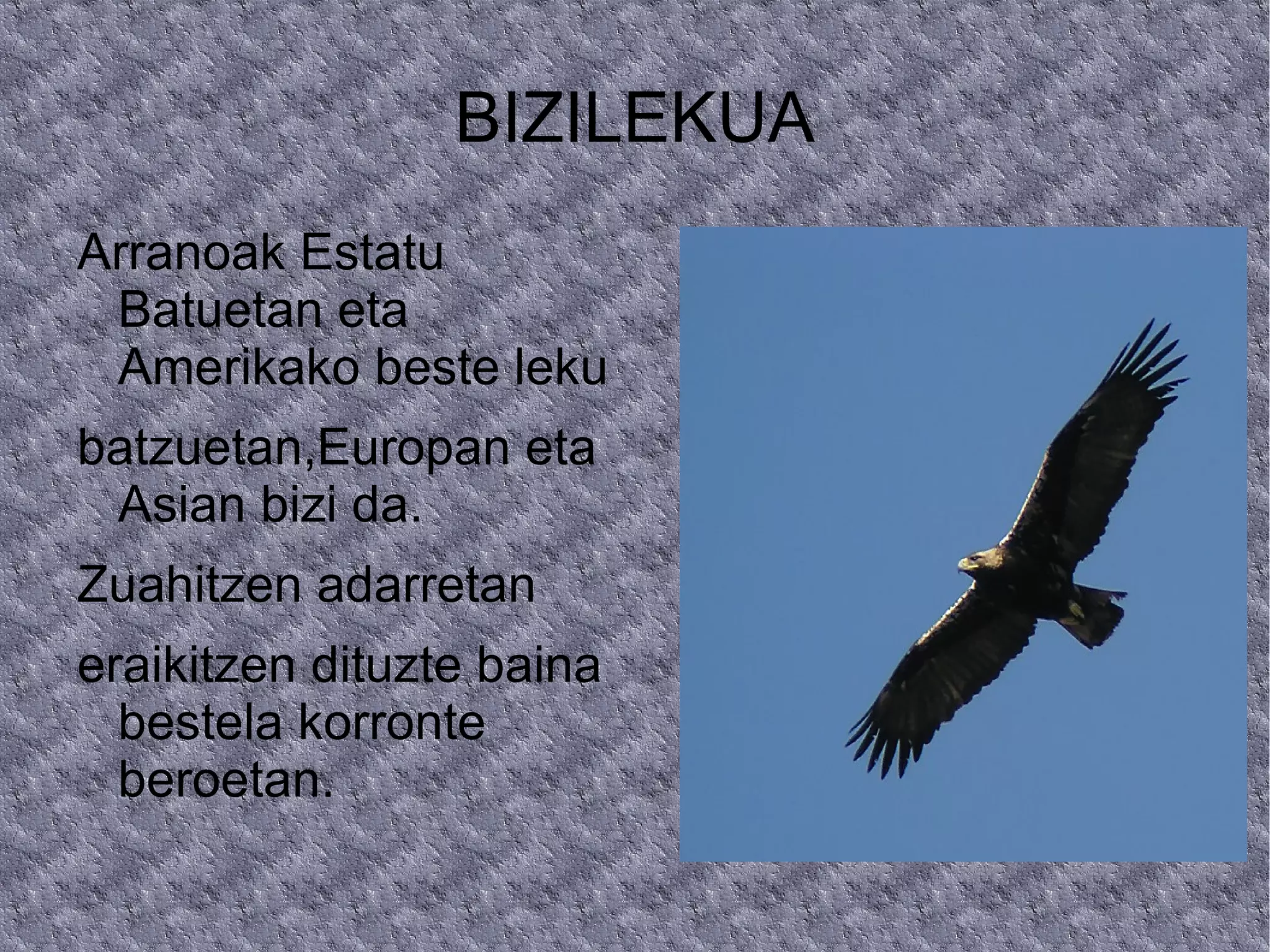 Arranoa.aimar | PPT