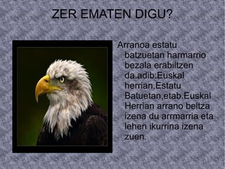Arranoa.aimar | ODP
