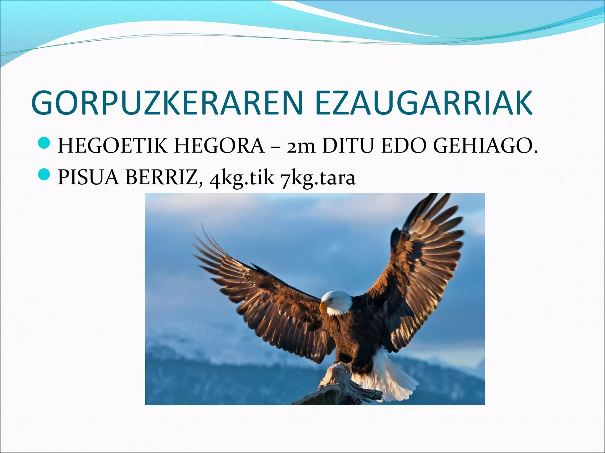Arranoa iraitz-adur | PPT